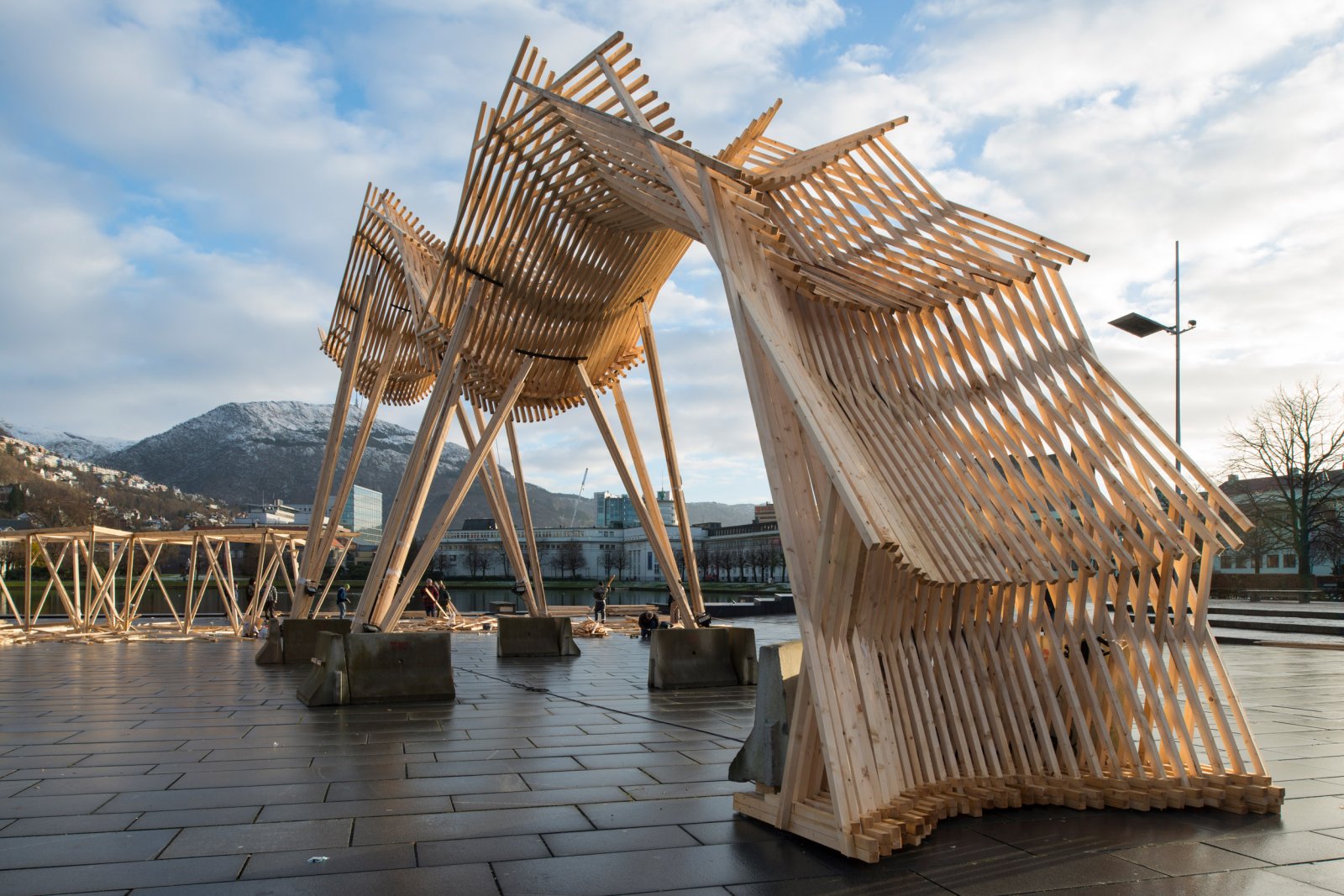 Experimental Wooden Structures - kmd