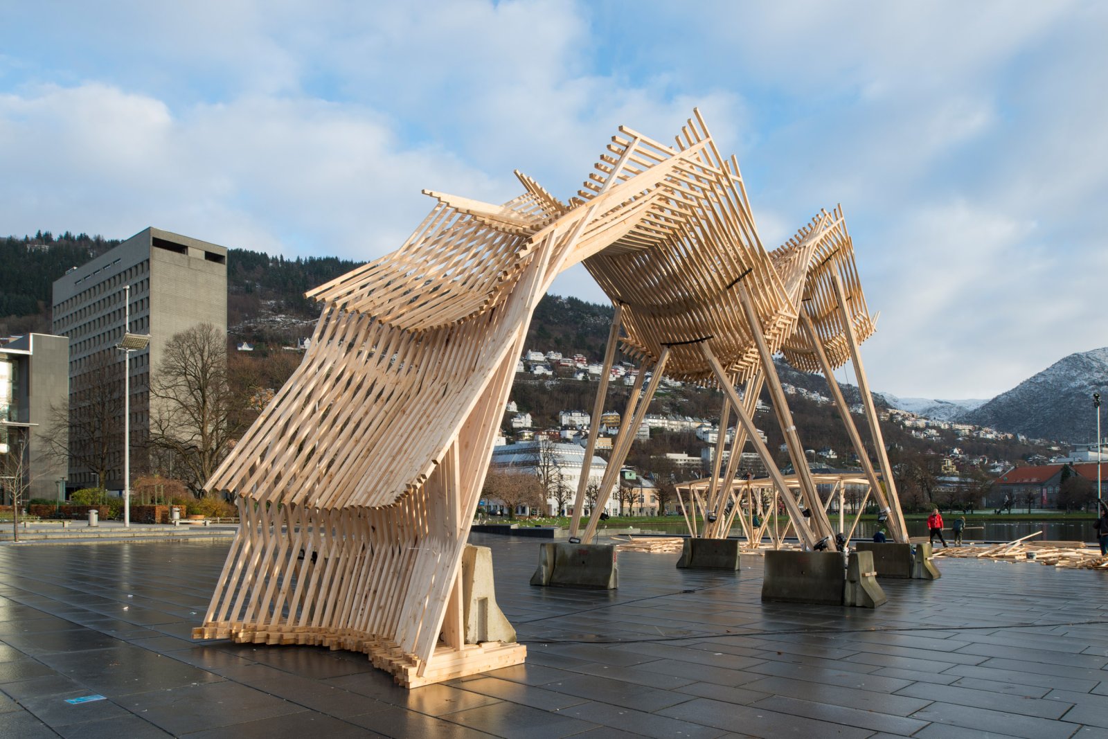 Experimental Wooden Structures - kmd